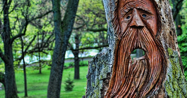 Most Amazing Facts: Amazing Wood Carving ♥ Truly Incredible