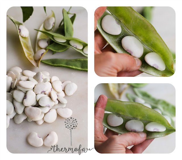 Hummus de garrofó a la naranja — Thermofan