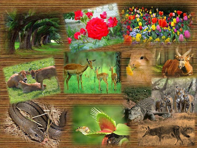 Sinaloa: octubre 2015