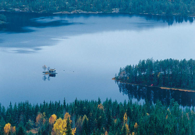 PEROJELKA: Pusti otok ... mir ...