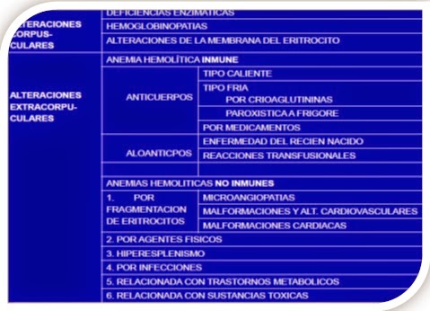 Fichero de Hematología: Anormalidades de los eritrocitos.