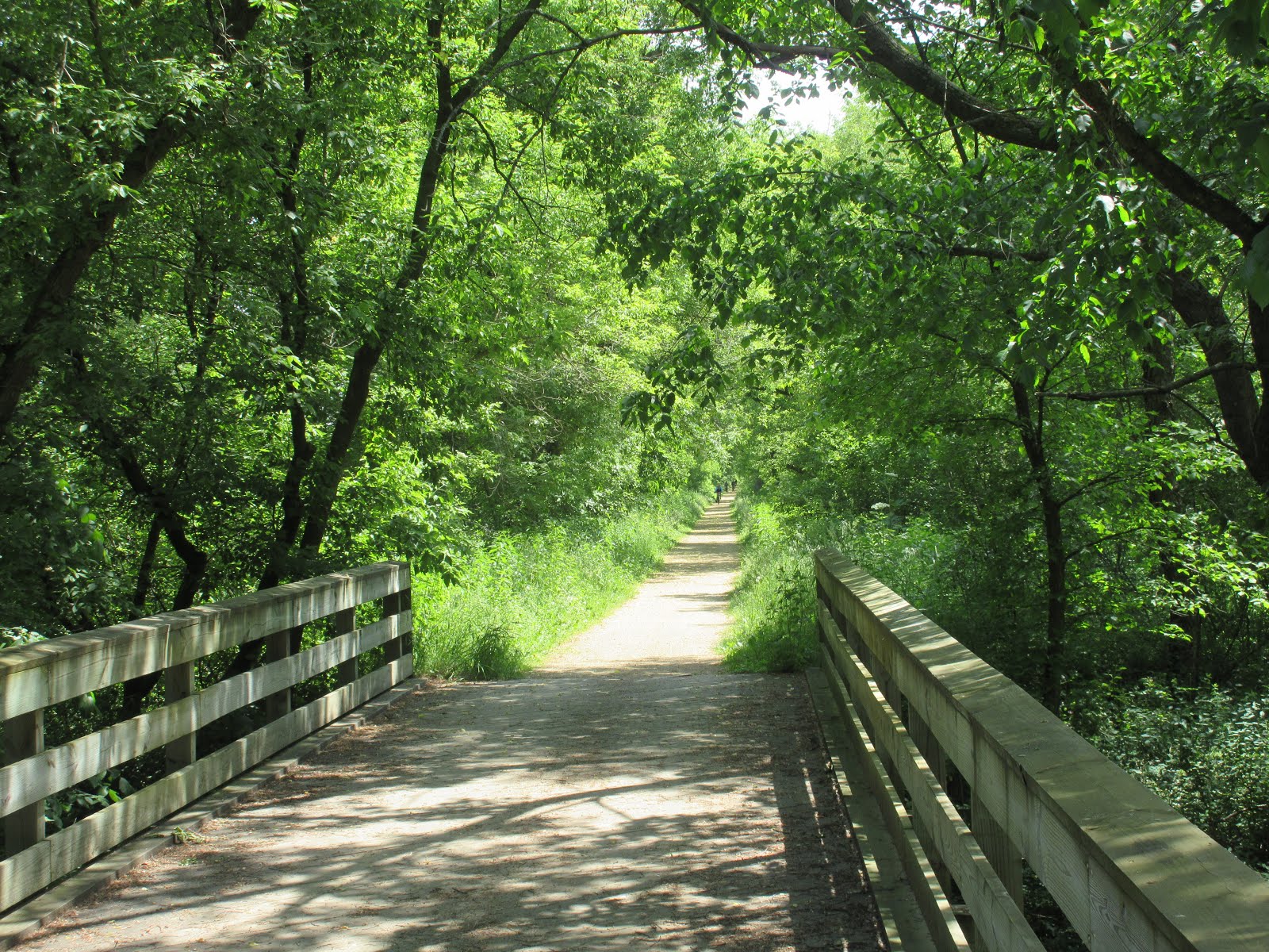 Mark's Bike Tock: Elroy - Sparta Trail
