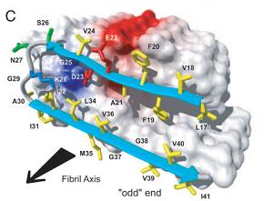 Groentech blog: Common properties of Alzheimer’s amyloid-beta and a ...