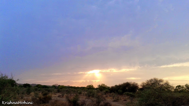 Poem: Evening Golden Rays