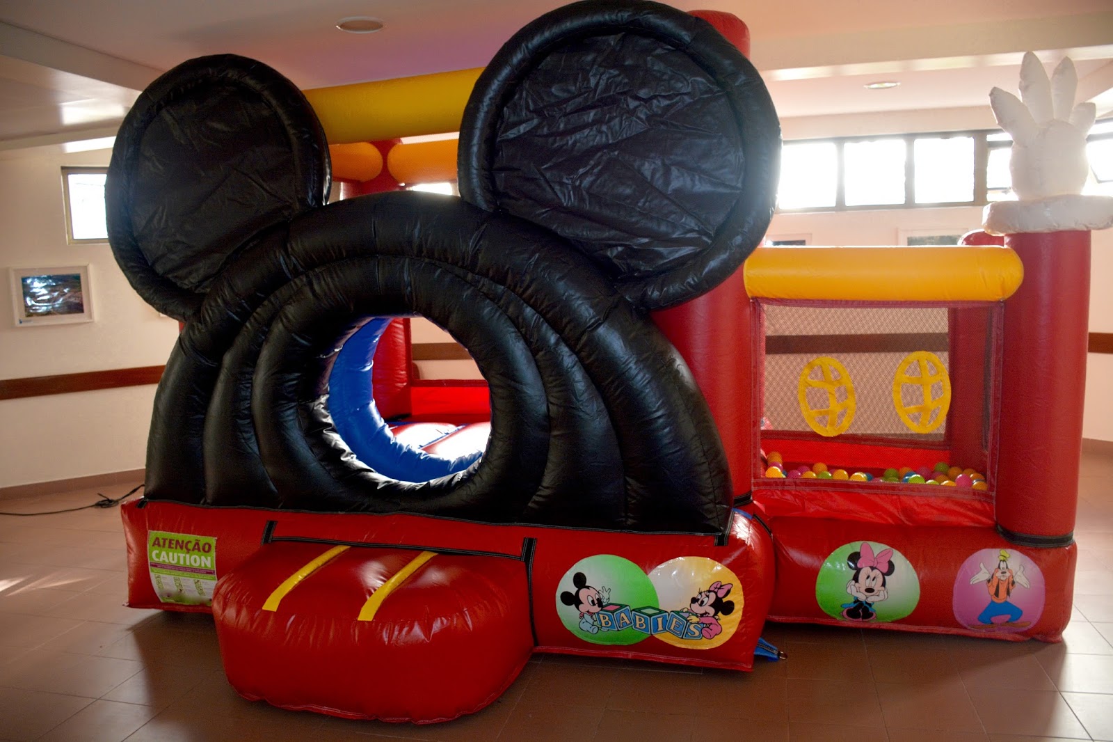 PrincessPARTY® - Festas Animadas e Elegantes: Insufláveis, trampolins e ...