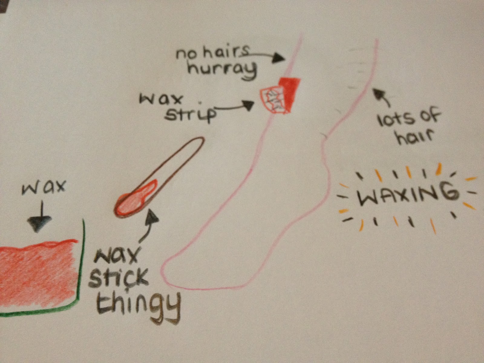*beautifully superfluous*: HAIR REMOVAL 101