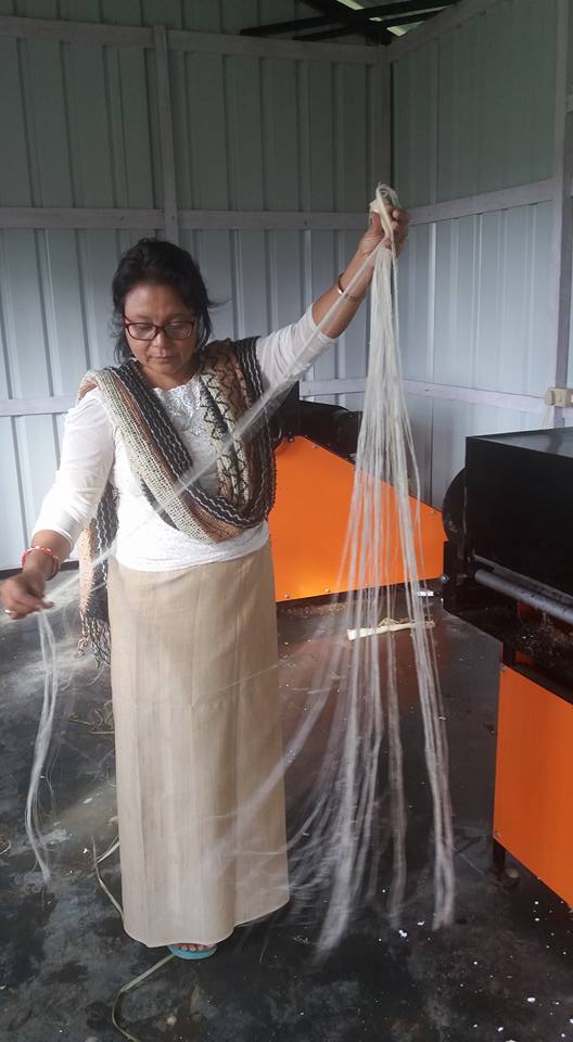 Eco Green Unit Banana Fibre Project Launched In Manipur