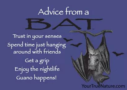 Animals and Kids World: Bat Is A Heraldic Symbol Of Spain