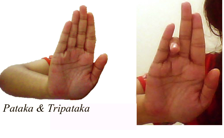 Apsara; The Beauty of Women: Bharatanatyam Hasta Mudra