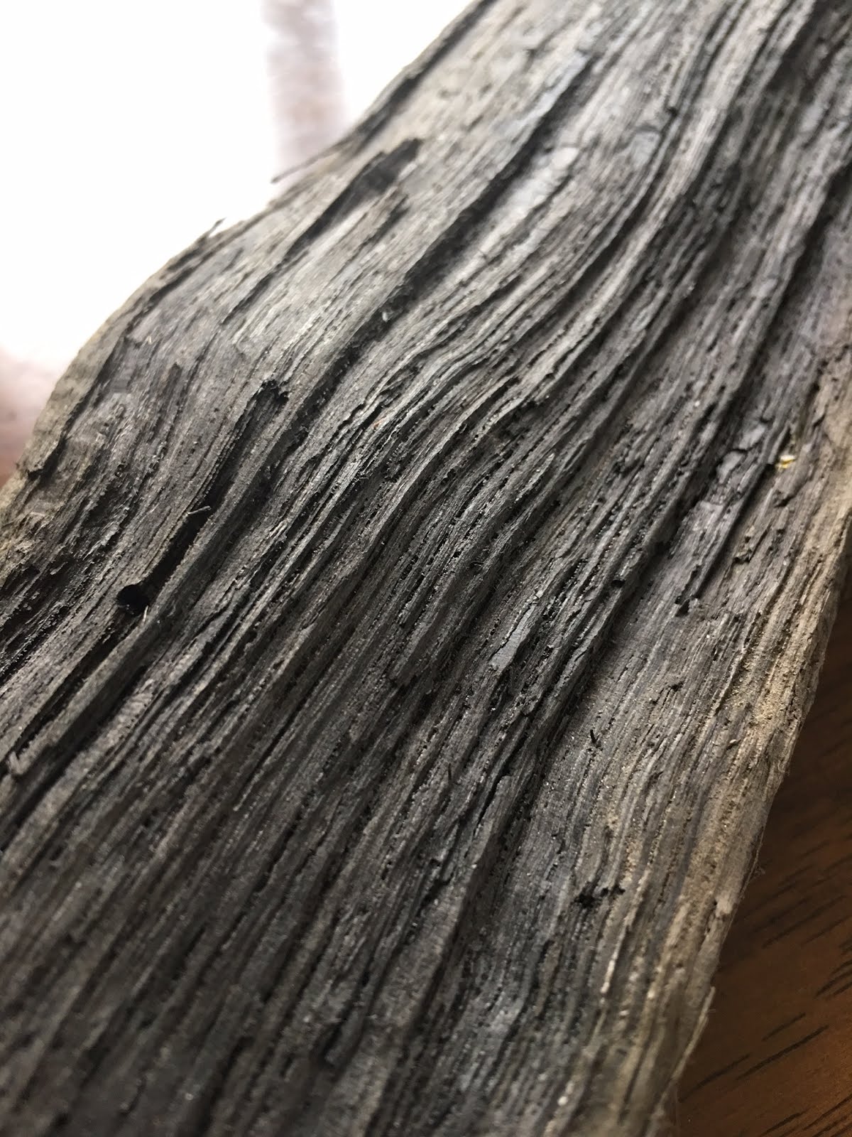 bog oak