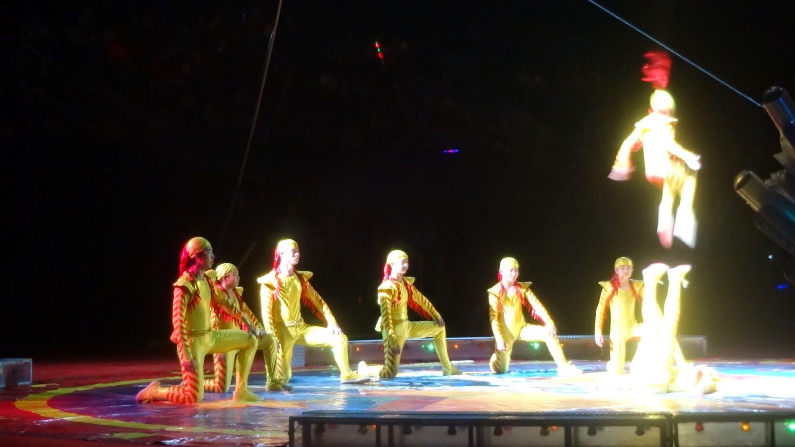 Noah's Miracle : The Evolution of the Circus