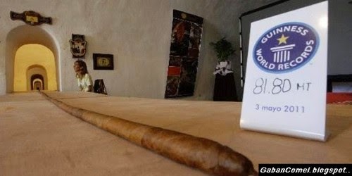 Menakjubkan! Curut di India Terpanjang di Dunia. - Gaban Comel