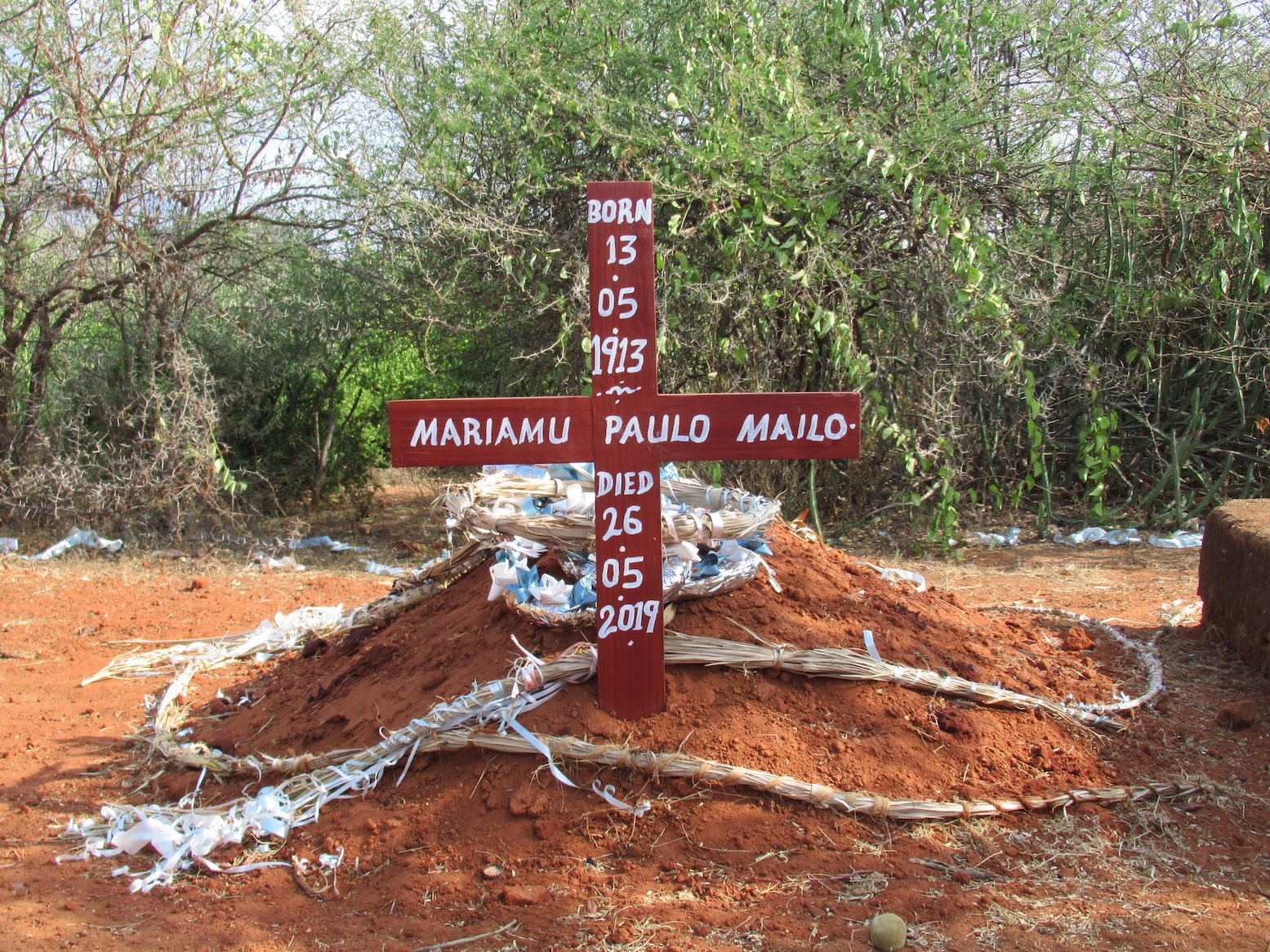 ngirilover: The Baobab Forest in Himo Tanzania