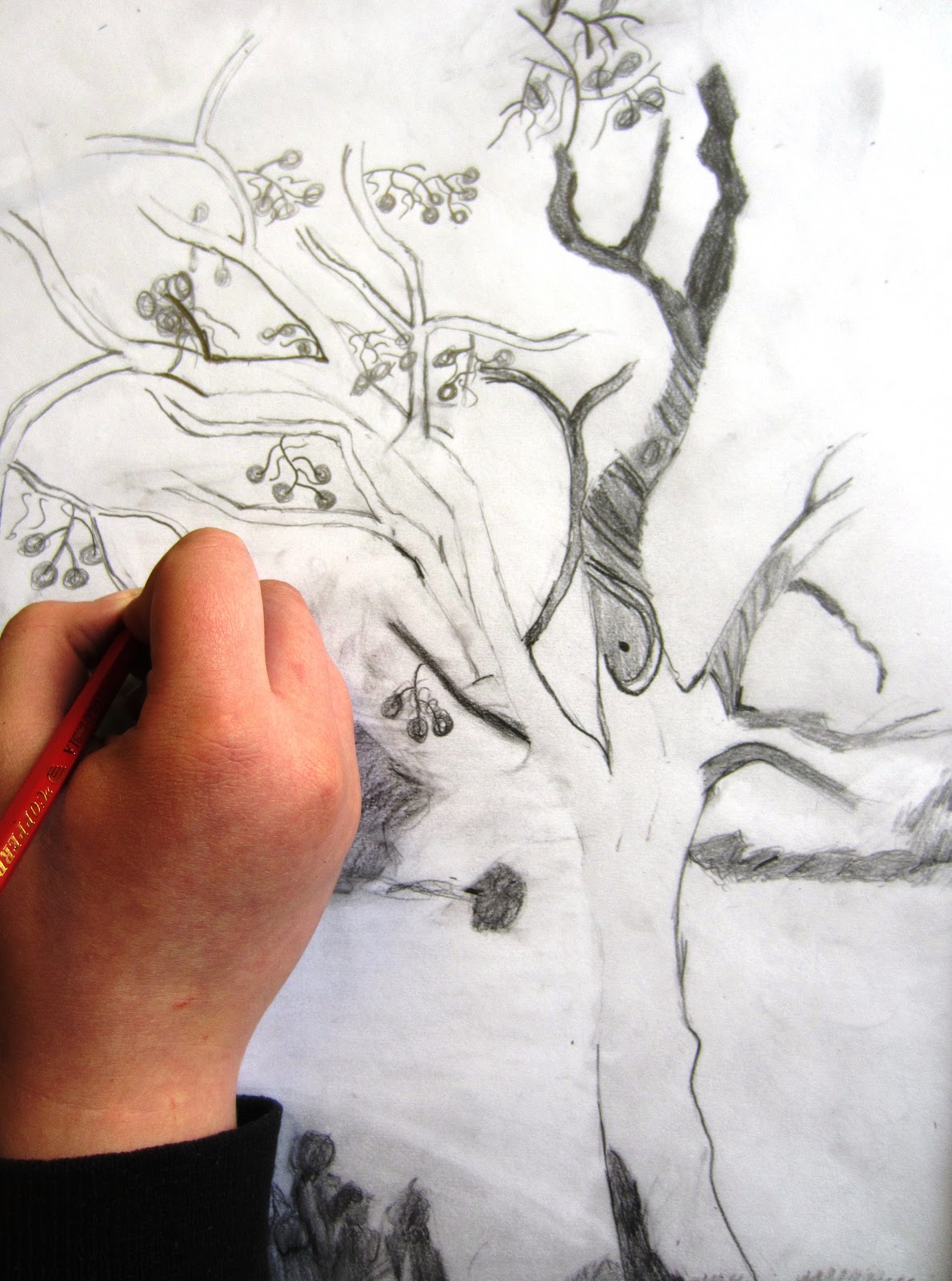 The Little Classroom Up the Back: The Burnt Stick