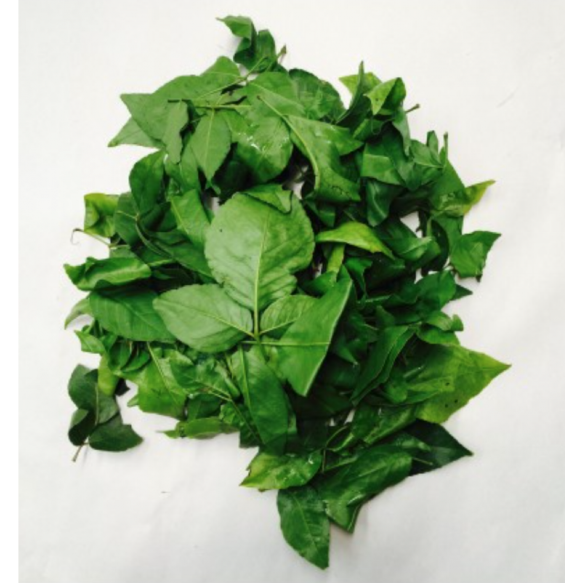 VILVAM LEAF - Best Pooja Products
