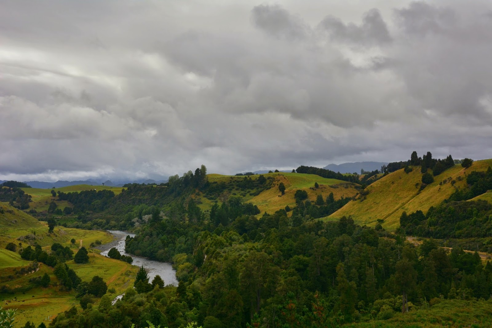 PL Fallin Photography: Piriaka - A Secret Place in Middle Earth