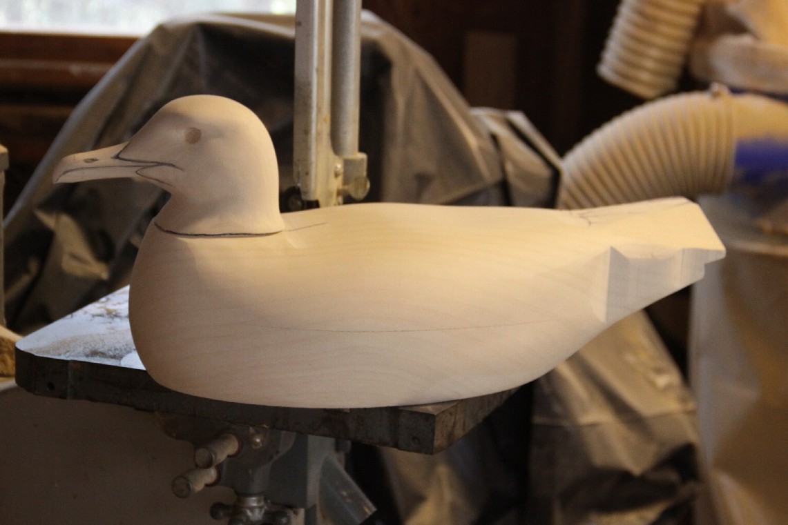 New England Coastal Birds: The Great White-winged Gull of the North ...