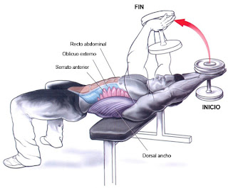 GYM: Pullover con Mancuerna o Barra