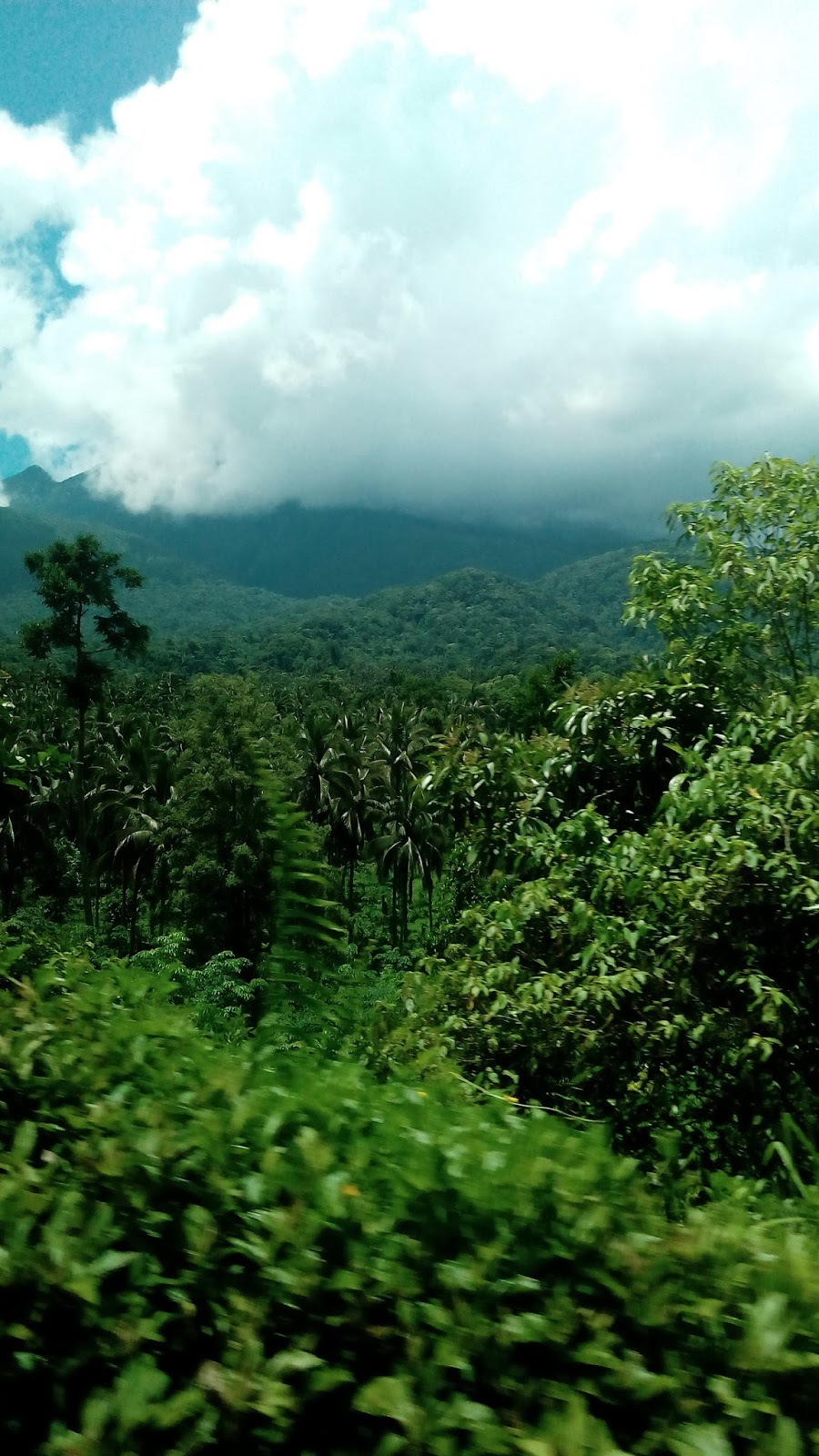 Family.Adventures.Travel.Food: Majayjay - Taytay Falls (Imelda Falls)
