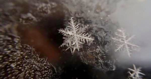 Witness The Beautiful Birth Of A Unique Snowflake In This Amazing Video ...
