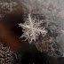 Witness The Beautiful Birth Of A Unique Snowflake In This Amazing Video ...