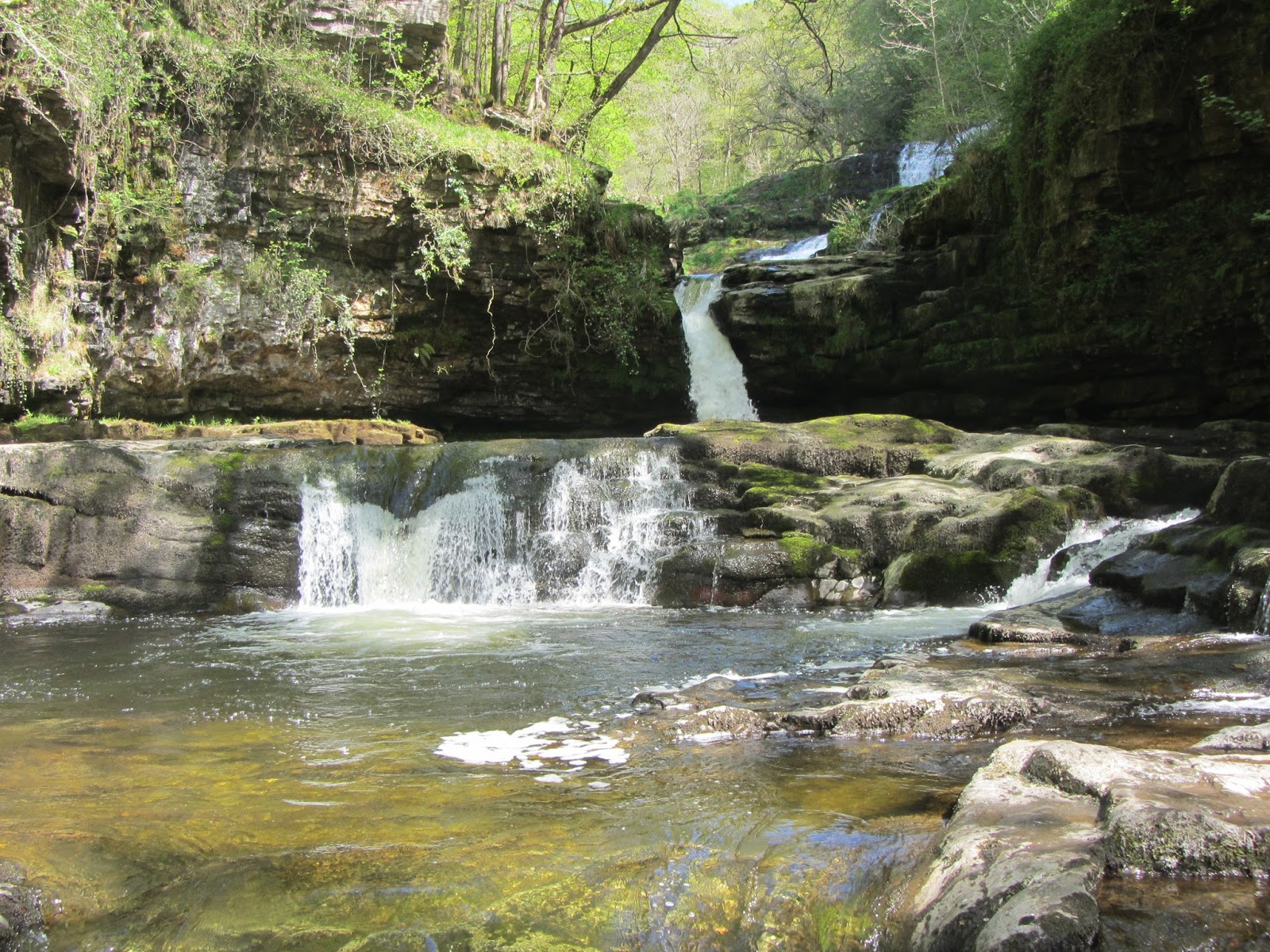 Cardiff Naturalists Society: Waterfall Walk near Penderyn, May 2016