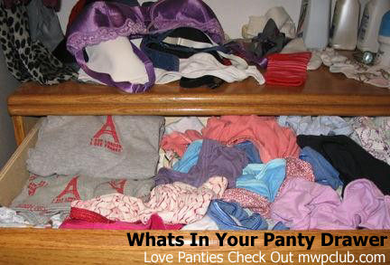 Panty Drawer Panties Drawer Underwear Drawer