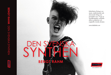 SUBKULTURER I SVERIGE: Den svenska synthen