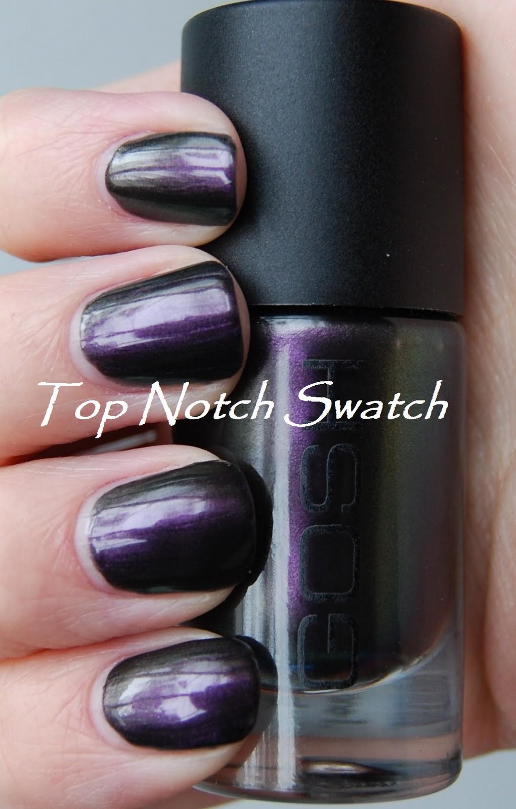 TOP NOTCH SWATCH