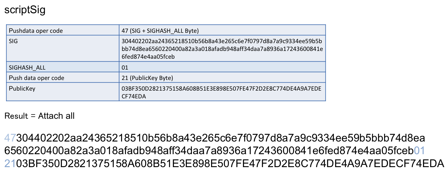 비트코인 스크립트 scriptSig, scriptPubKey