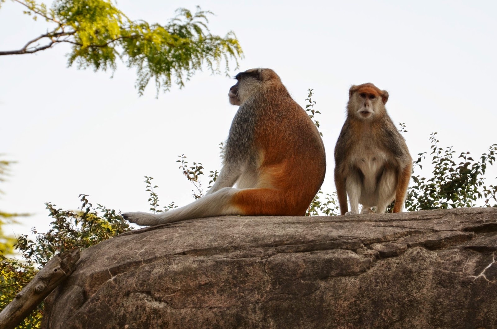 Unlimited Net Worth: The secret to investing at the optimal time