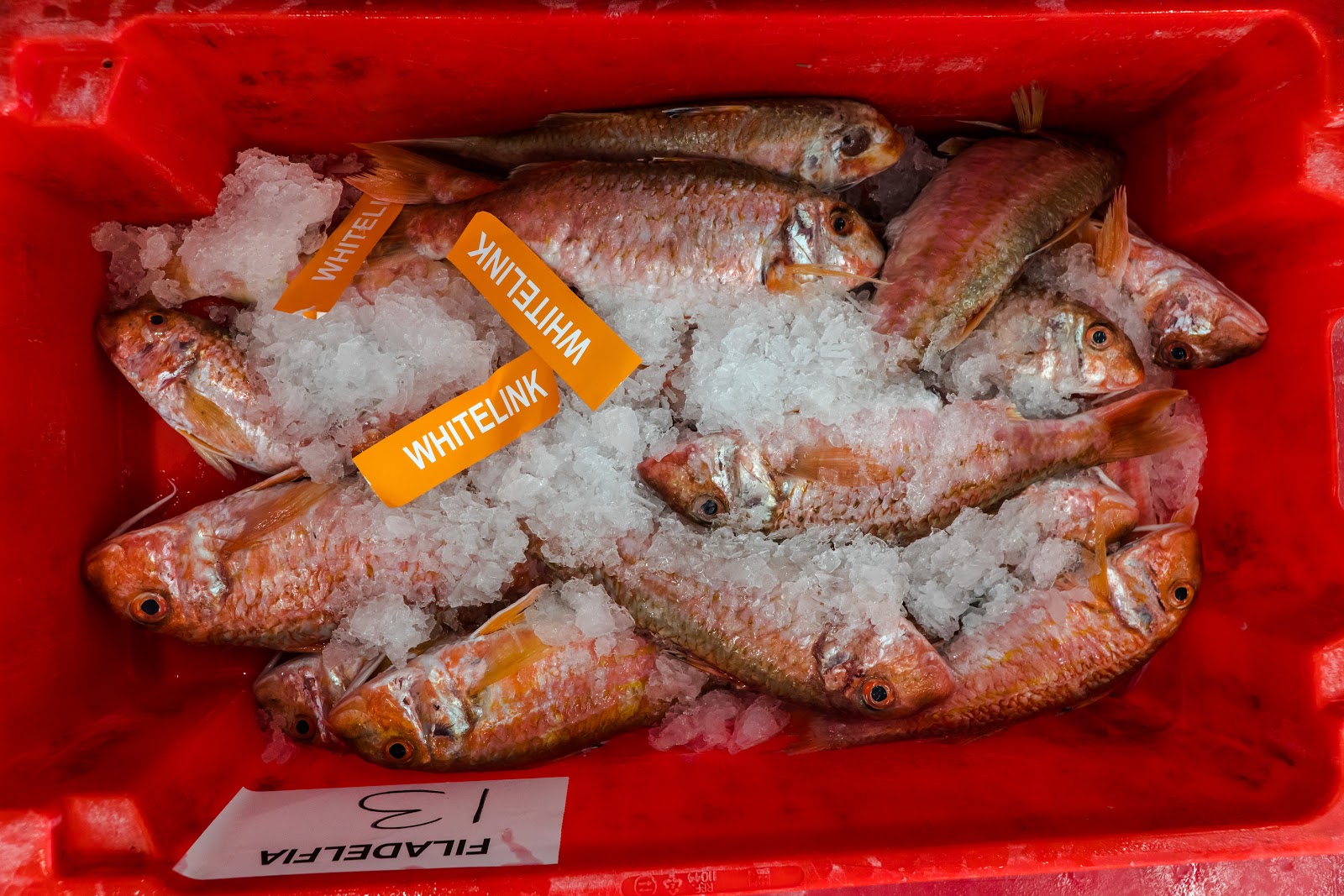 Through the Gaps! - Newlyn Fishing News: #FishyFriday on Newlyn fish ...