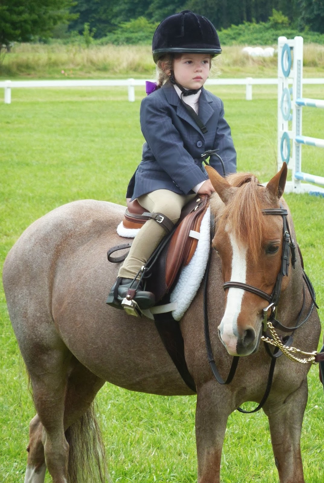 Piccalilli Pie: Tiny Tots on Pint-Sized Ponies