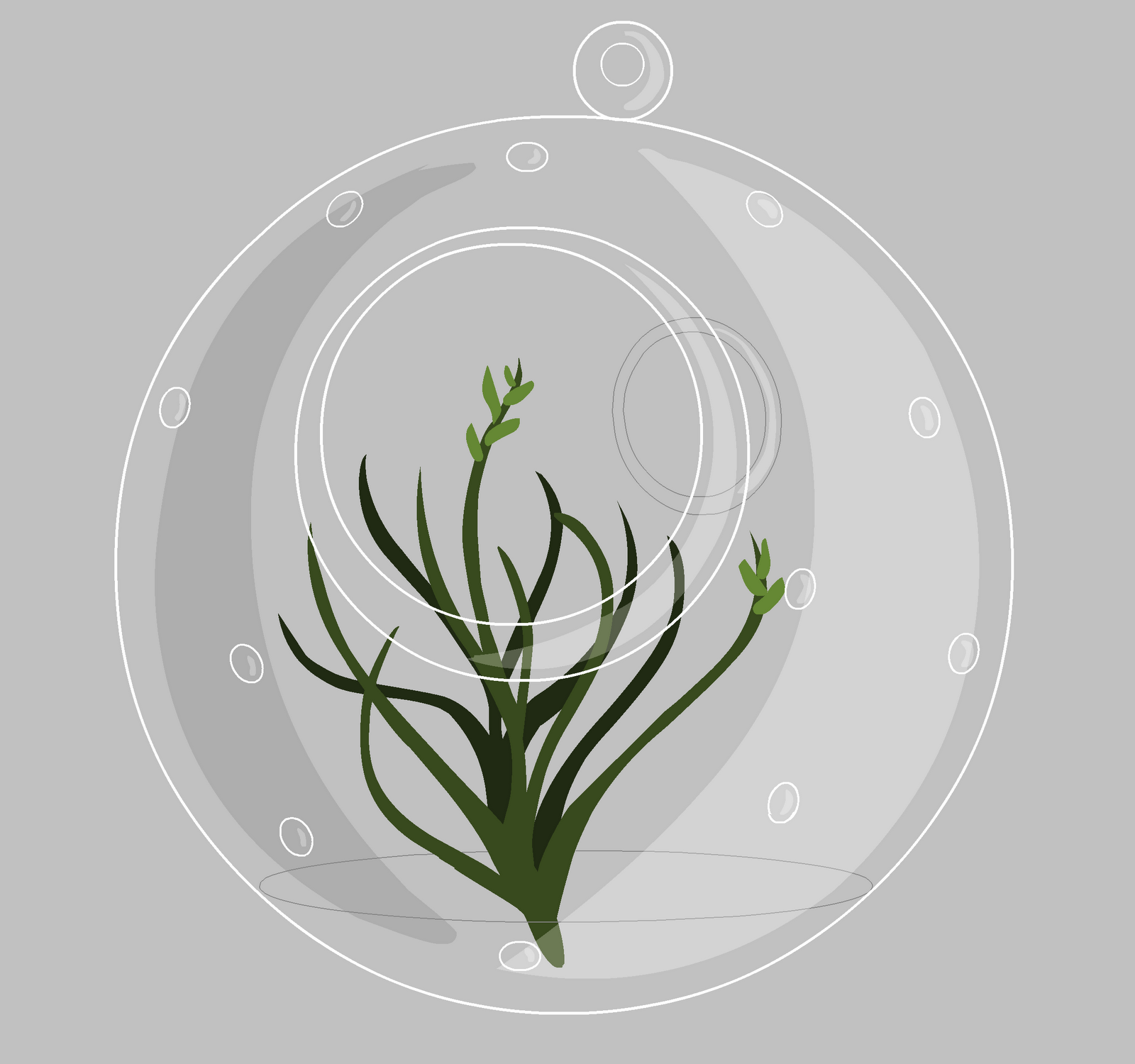 Seven Blue Orchids: Drawing a Day: Aerial Plants