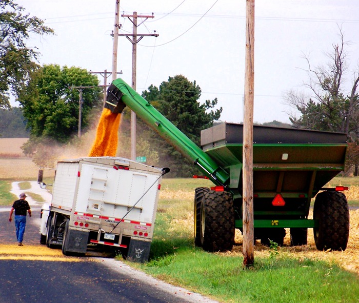 MEC&F Expert Engineers : A father and son farmers were killed when the ...