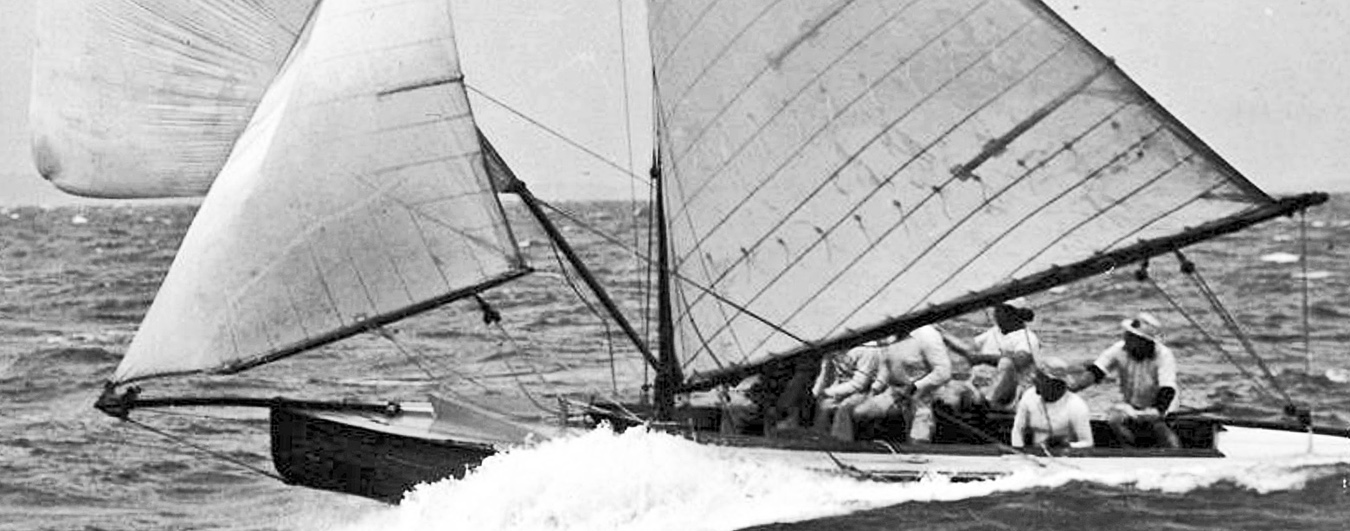 Earwigoagin: Header Photo: Big Tasmanian Dinghy