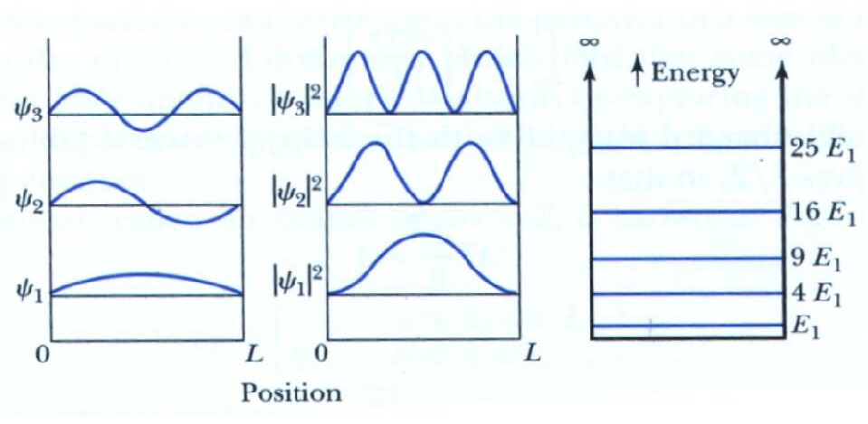 Brane Space: An Introduction to Quantum Mechanics (3)
