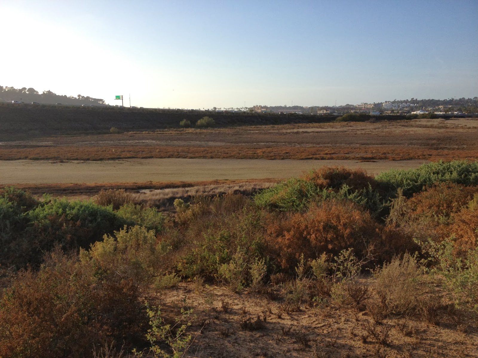 Caleb's Geography Blog: Dust Devil Nature Trail - San Diego, California