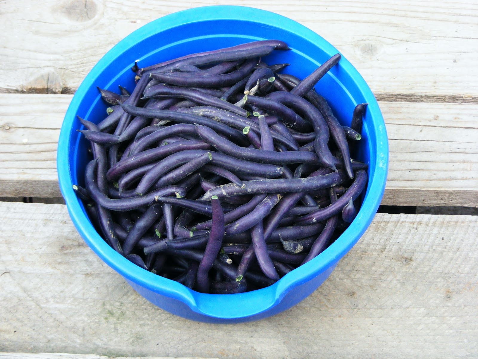 Makacska konyhája: Sonkás zöldpaszuly főzelék