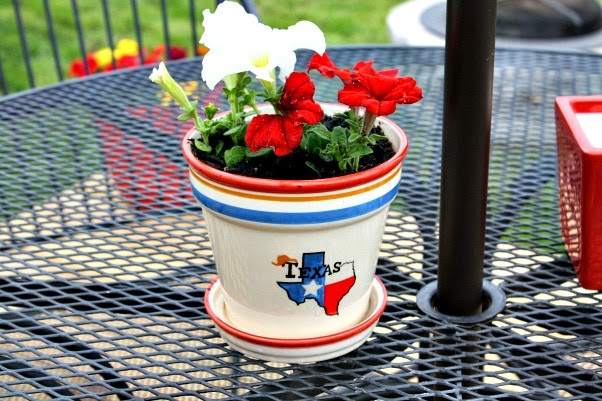 Adding Color to a Patio with Container Gardening — Mommy's Kitchen