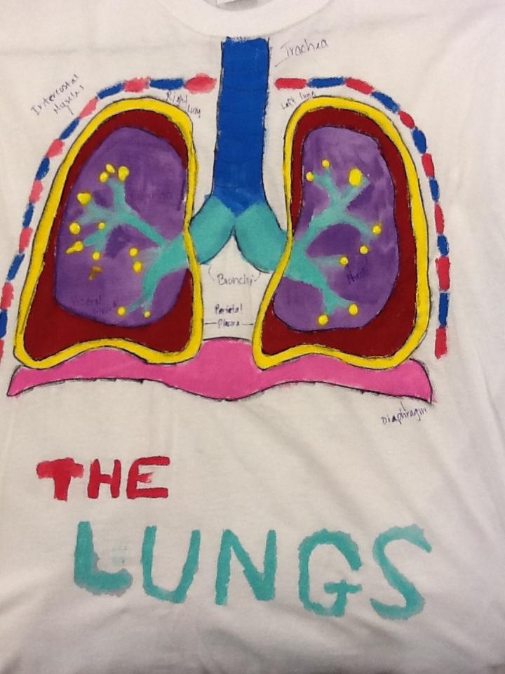 Anatomy 2012