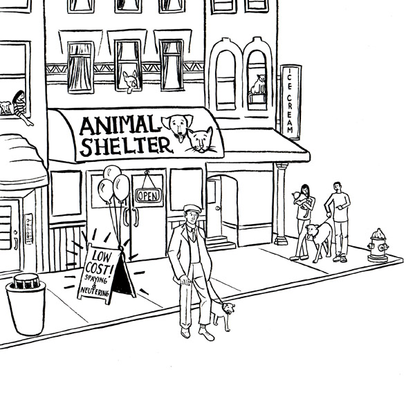 Vidhya Nagarajan: Spay and Neuter Coloring Book