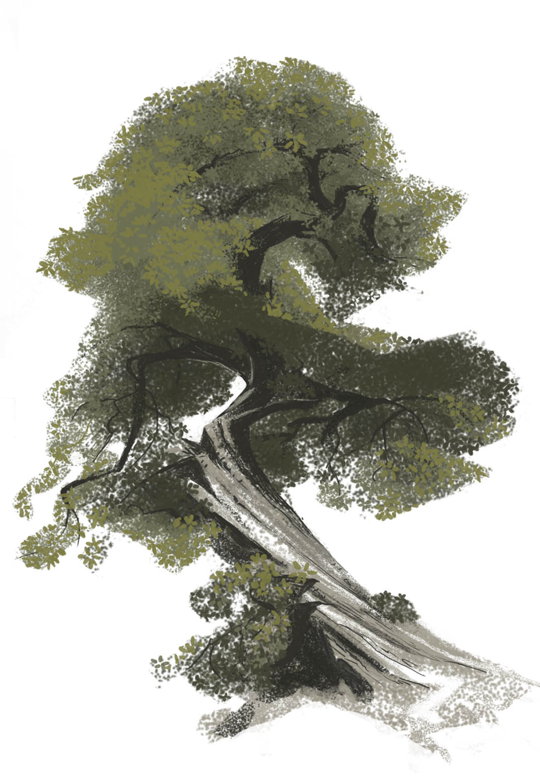 the art of kevin nelson: an early "Tangled" tree design
