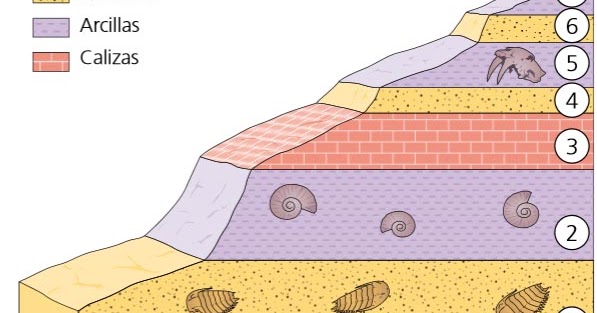 Estratigrafía y correlación estratigráfica en el campo de la Geología