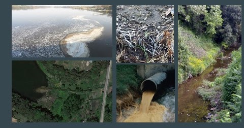 FRANCO BRUGNOLA: L'INQUINAMENTO NELLE ACQUE SUPERFICIALI E SOTTERRANEE ...