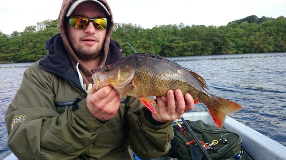 June 2014 Fish of the Month Entry - Pukka Perch!