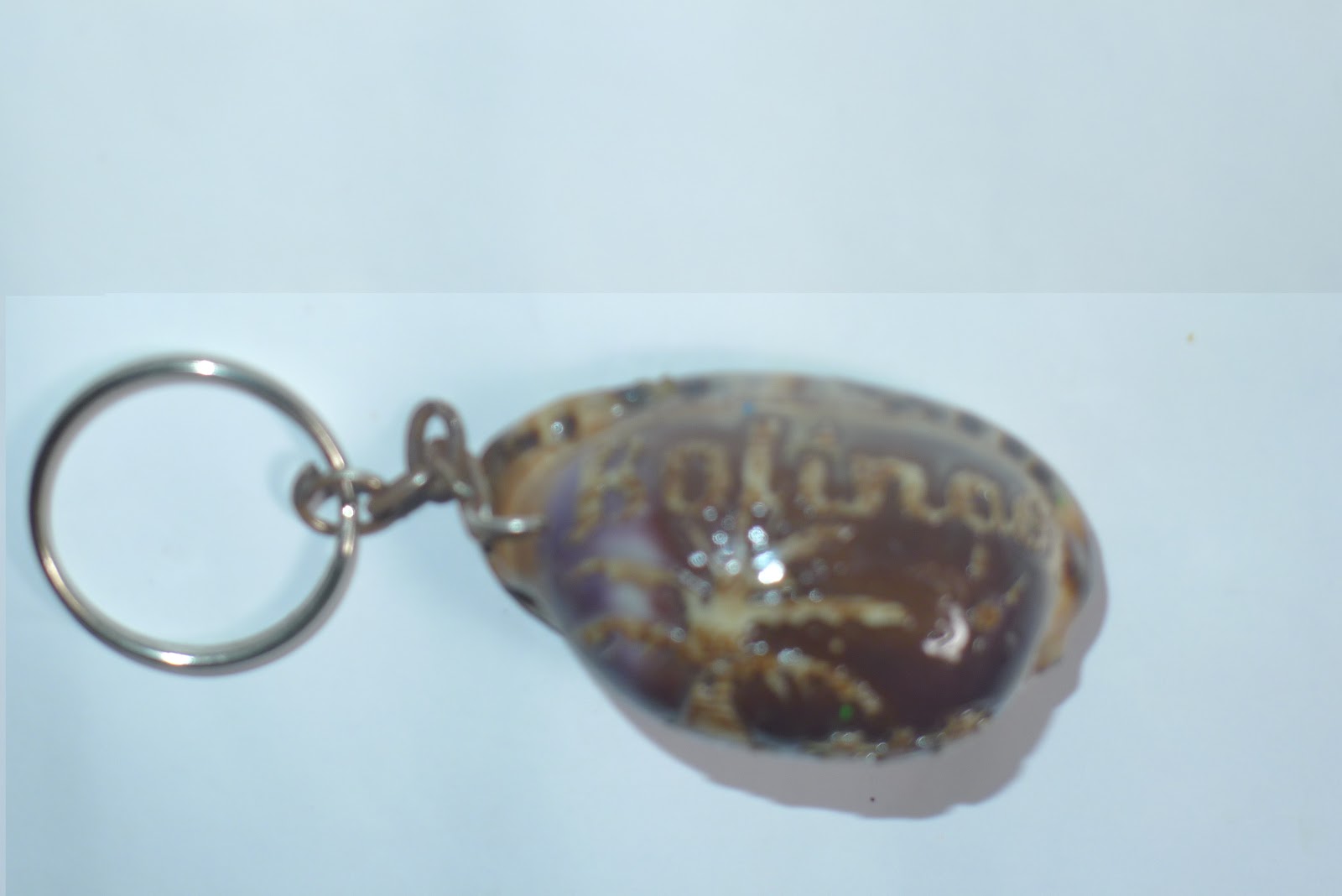 my greatest opponent: Bolinao's shell