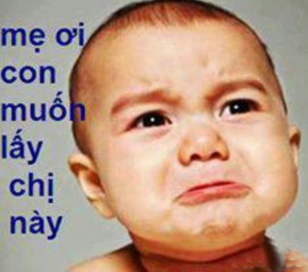 Hình ảnh đẹp, ảnh nền đẹp cho máy tính, điện thoại: Ảnh chế: ảnh chế ...