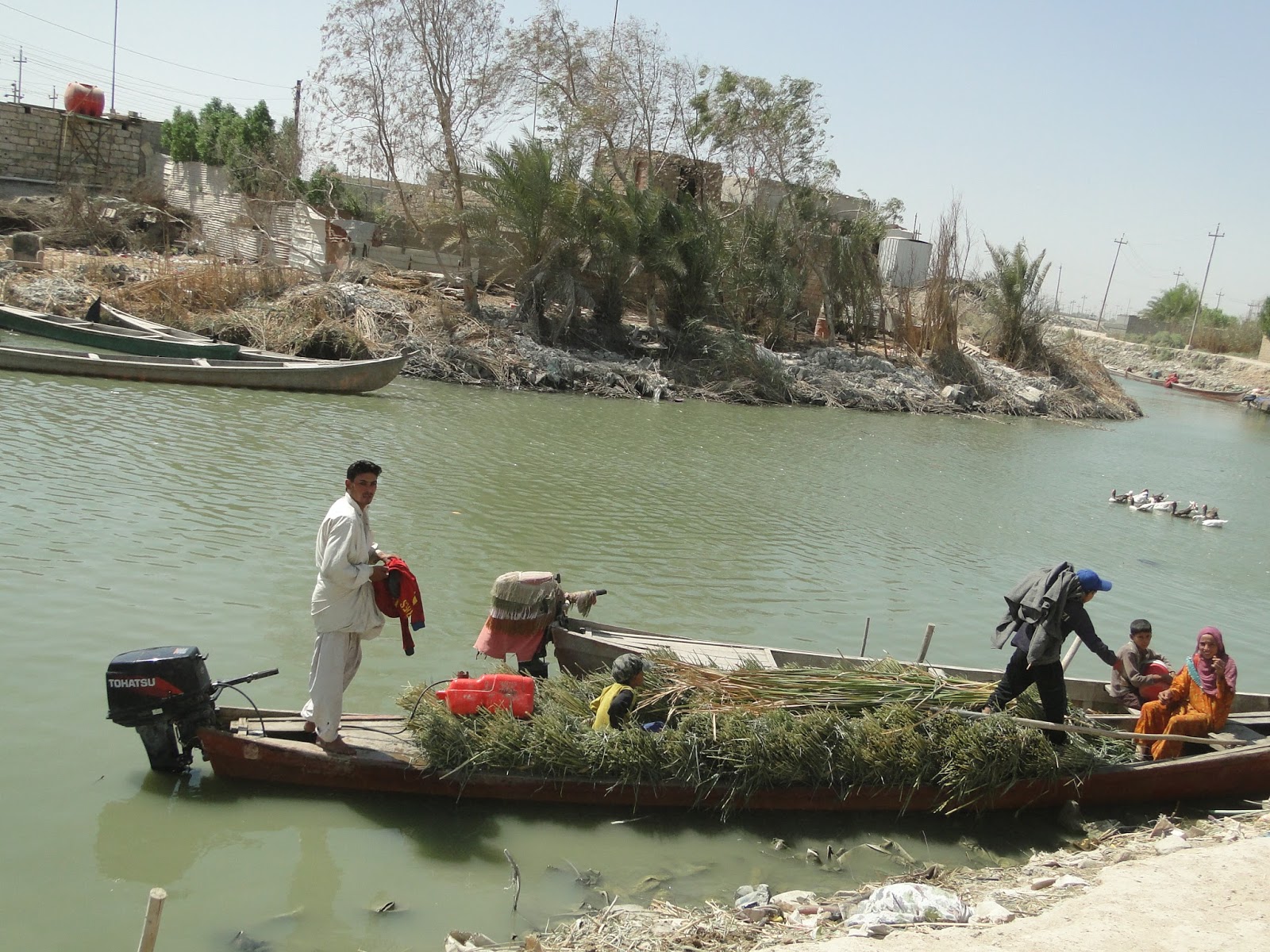 Marsh Arab Trust: The challenge of the Marsh Arabs