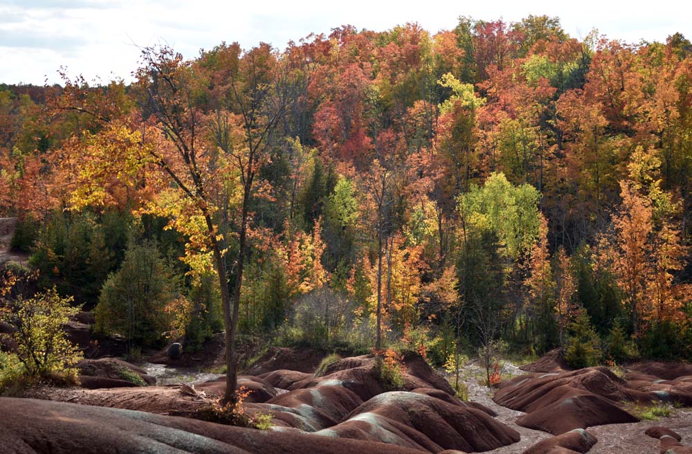 Toronto Grand Prix Tourist - A Toronto Blog: Cheltenham Badlands in ...